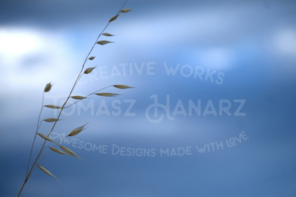 49+ Famous Blue Backgrounds - Free & Premium Download